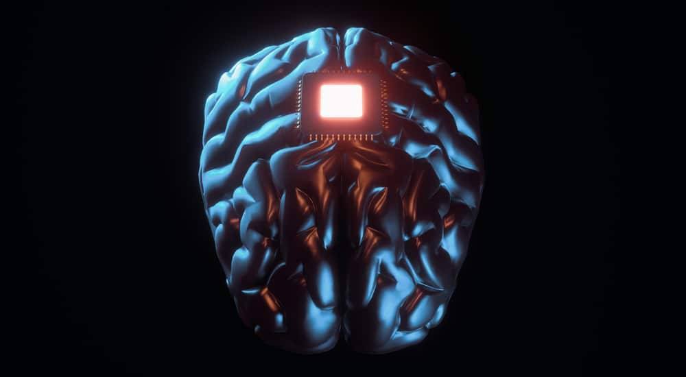 Elon Musk Quer Implantar Chips Cerebrais Em Humanos a Partir De 2022 ... Elon Musk Quer Implantar Chips Cerebrais Em Humanos a Partir De 2022 ...